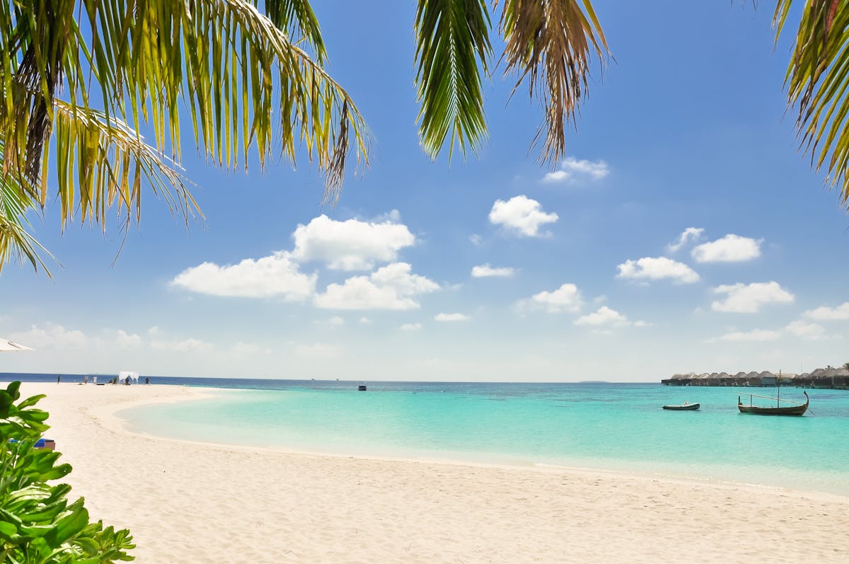 Cheap Flights and the Best UK Travel Deals - Flight Tribe